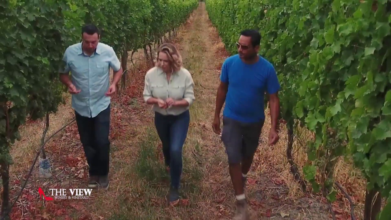 Wine and Cider Image and Video Gallery - The View Winery : The View Winery